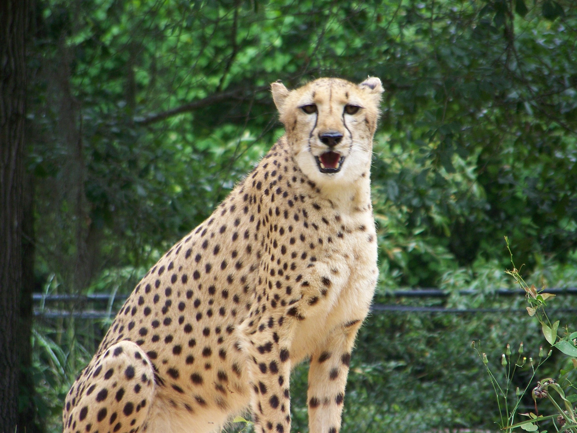 Chehaw Park | Explore Georgia