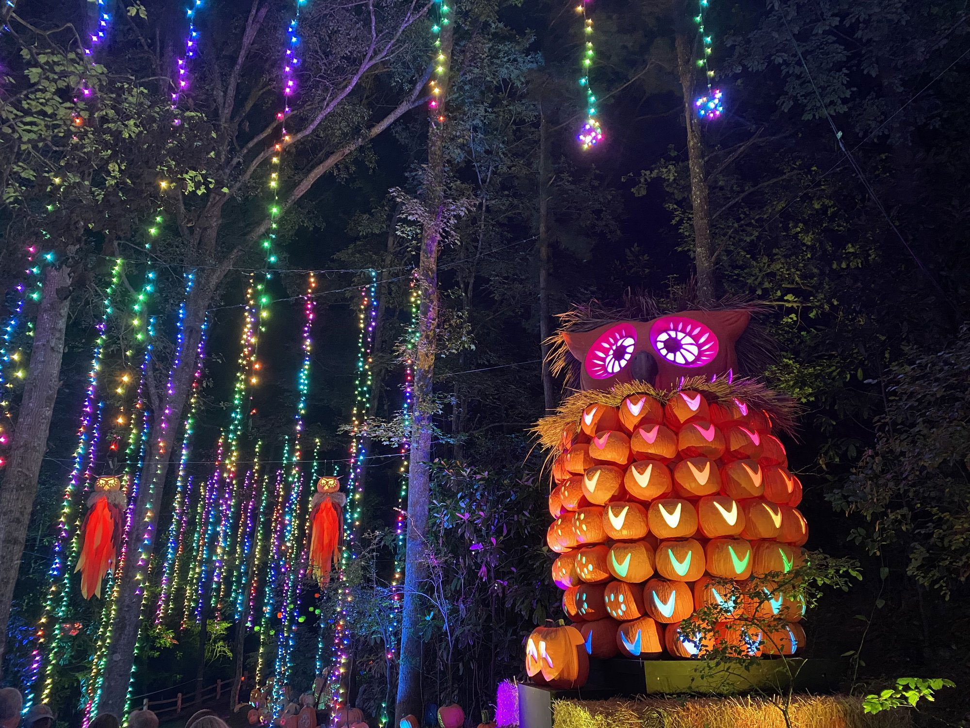 Five Places to Visit Before the End of Fall in Georgia | Explore Georgia