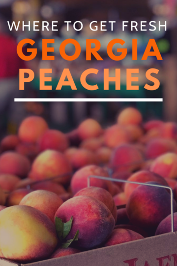 Where to Get Fresh Georgia Peaches (updated 2020)