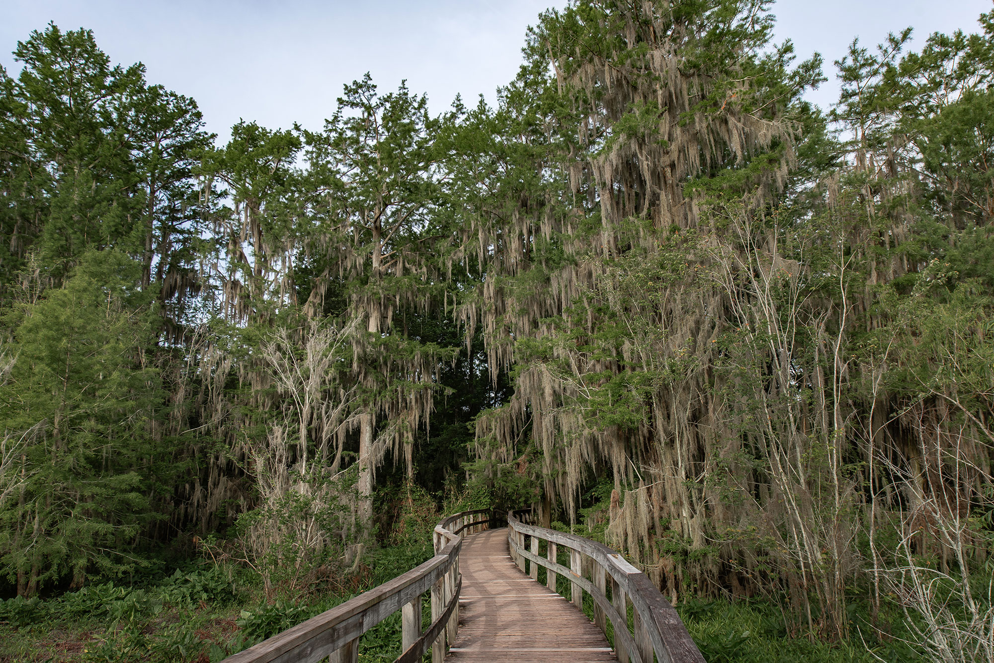 The 2025 Visitor Guide to Augusta, Georgia: Eat, Stay & Play