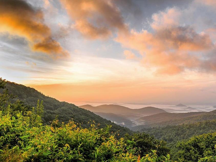 Georgia Fall Road Trips