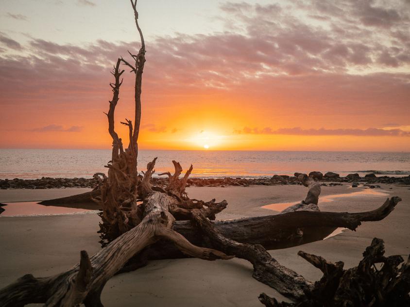 Your Guide to the Best Georgia Beach Trips | ExploreGeorgia.org