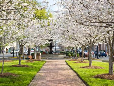 Explore Georgia's Fairs & Festivals | ExploreGeorgia.org