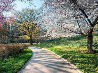 4 Georgia Spring Break Adventures for Families | Explore Georgia