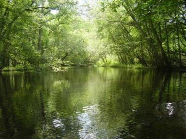 Claxton | Explore Georgia