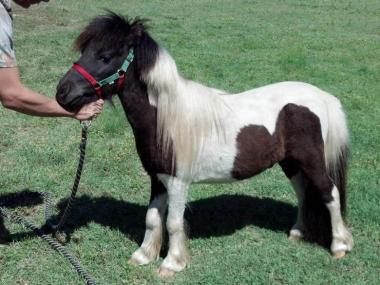 Cochran | Explore Georgia