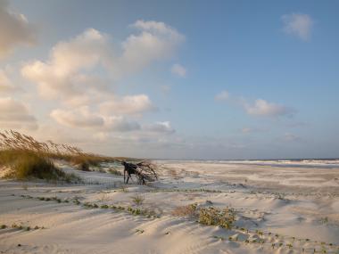 Visiting Cumberland Island's Greyfield Inn | Explore Georgia