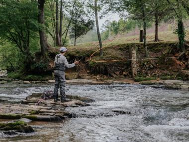 The Best of Blue Ridge, GA | ExploreGeorgia.org