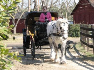 Montrose | Official Georgia Tourism & Travel Website | Explore Georgia.org