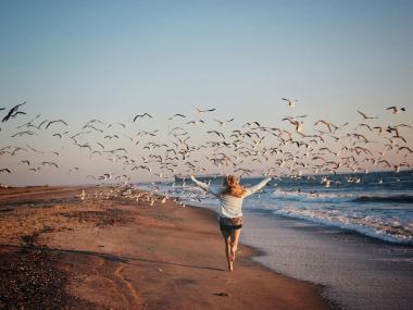 Best Georgia Trips for 2025 | Explore Georgia