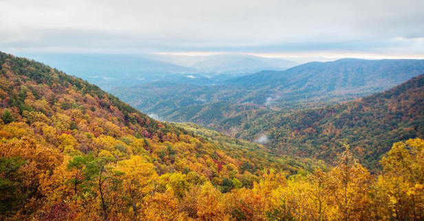 5 Native American Sites Not to Miss in Georgia | Explore Georgia