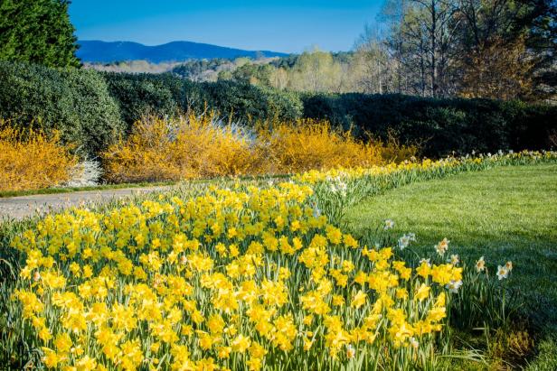 Georgia Botanical Gardens to Visit This Spring | Explore Georgia ...
