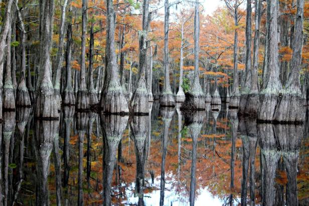 7 Secret Georgia State Parks for Fall Color | Explore Georgia