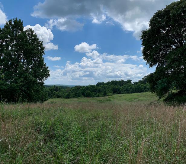 Guide to Arabia Mountain National Heritage Area | Explore Georgia