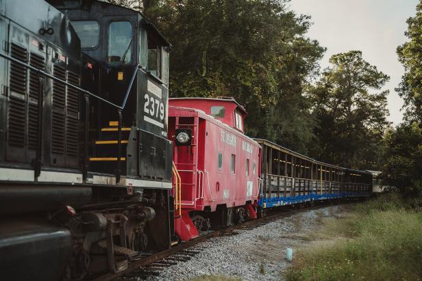 6 Ways to See Georgia by Train this Fall (2024)