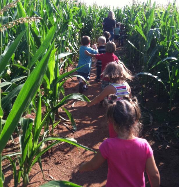 6 Georgia Corn Mazes for Family Fun | Explore Georgia