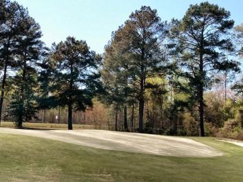 Dexter Golf | Official Georgia Tourism & Travel Website | Explore ...