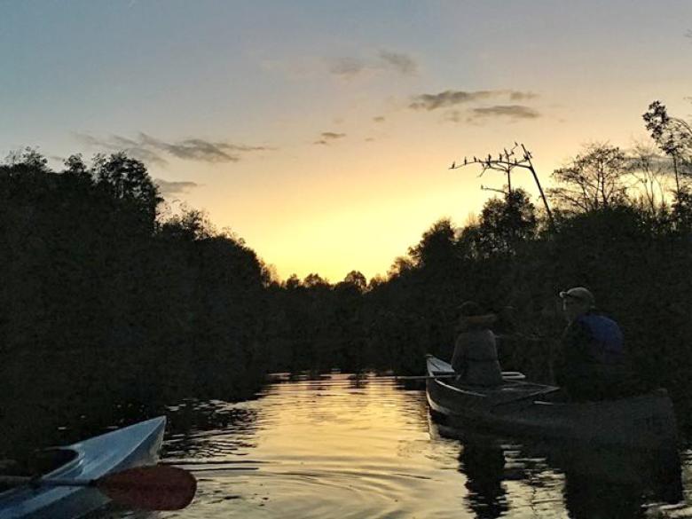 Sunset Boat Tour of the Swamp | Official Georgia Tourism & Travel ...