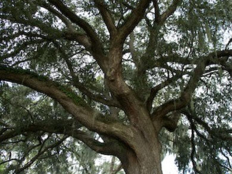 Darien Waterfront Park | Explore Georgia