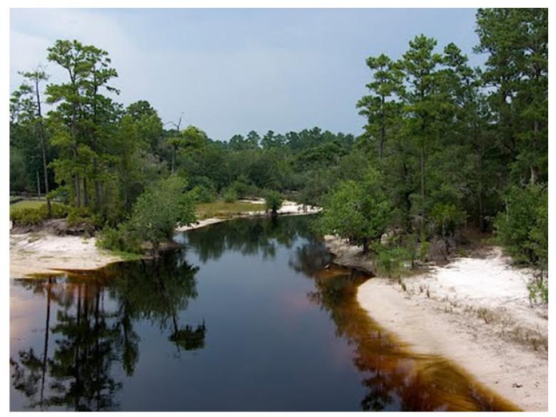 Fargo | Explore Georgia