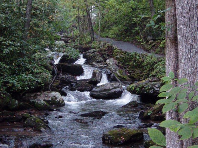 Anna Ruby Falls Recreation Area | Explore Georgia