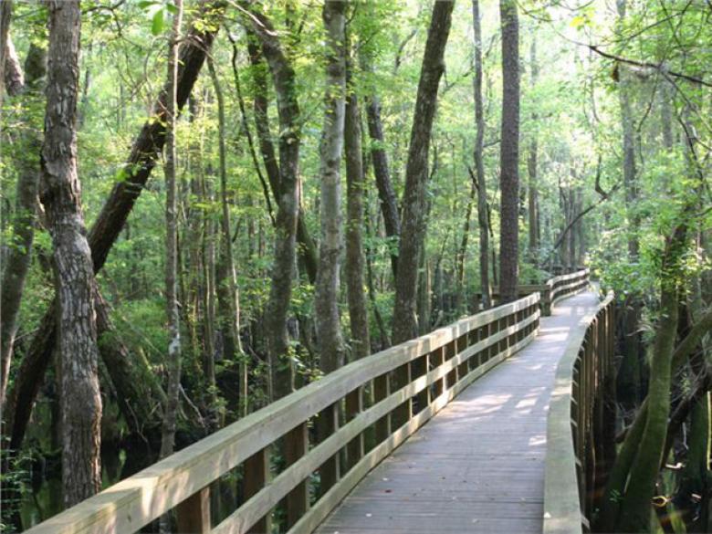 General Coffee State Park | Explore Georgia