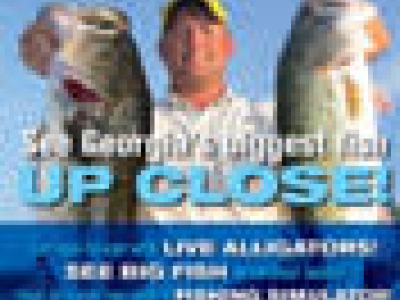 Go Fish Education Center | Official Georgia Tourism & Travel Website ...