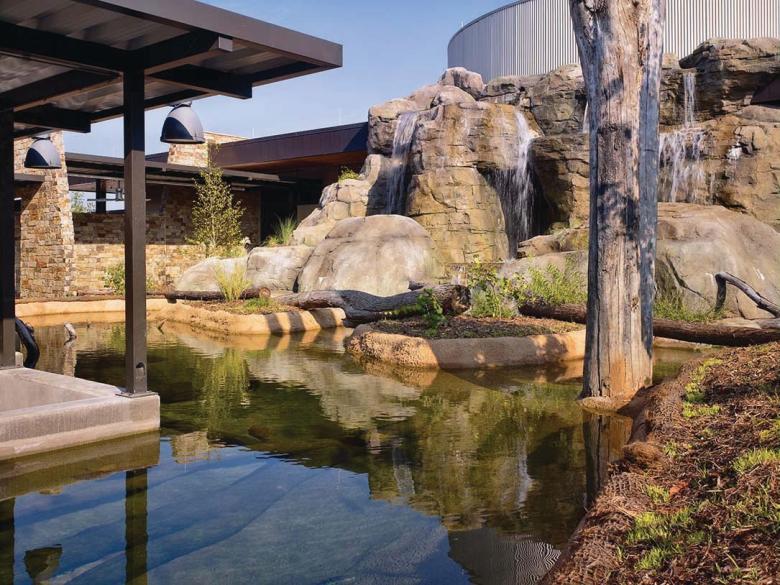 Go Fish Education Center | Explore Georgia