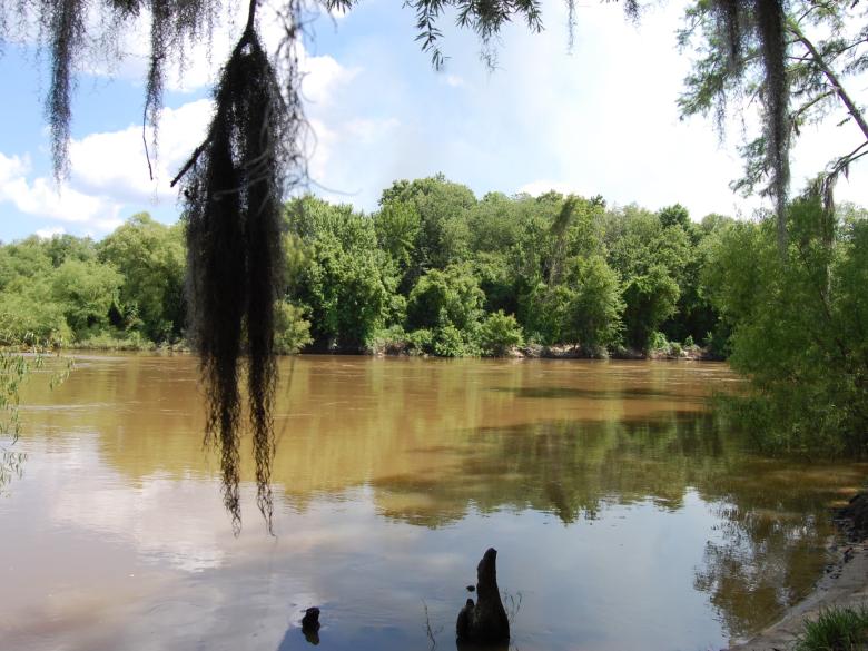 Horse Creek Wildlife Management Area | Official Georgia Tourism ...