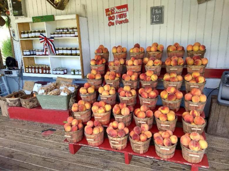 Lawson Peach Shed | Official Georgia Tourism & Travel Website | Explore ...
