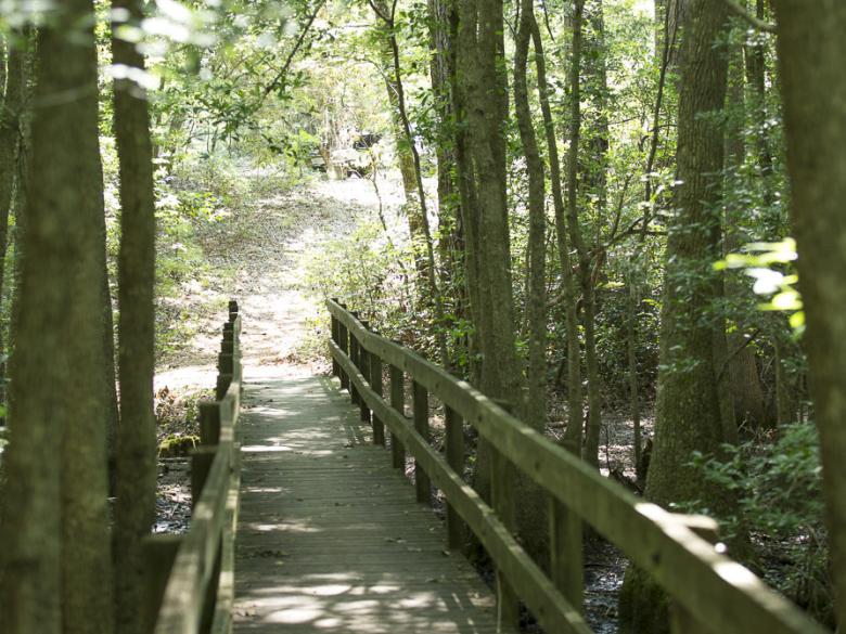 Little Ocmulgee State Park & Lodge | Official Georgia Tourism & Travel ...