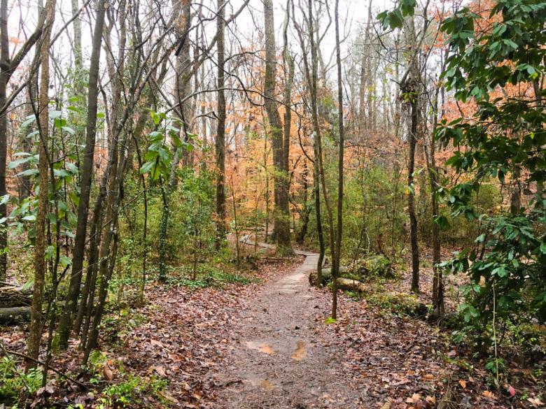 Oconee Forest Park | Official Georgia Tourism & Travel Website ...