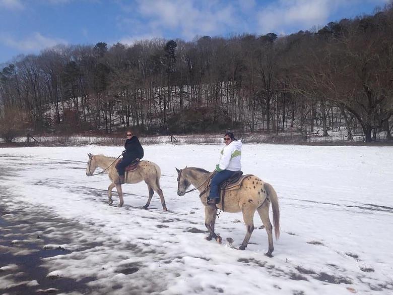 Chattahoochee Stables | Official Georgia Tourism & Travel Website ...