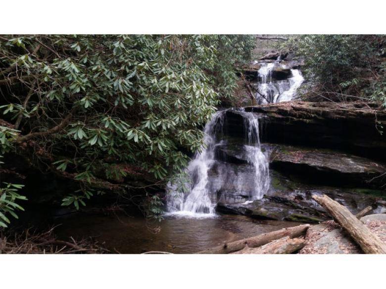 Warwoman Wildlife Management Area | Explore Georgia