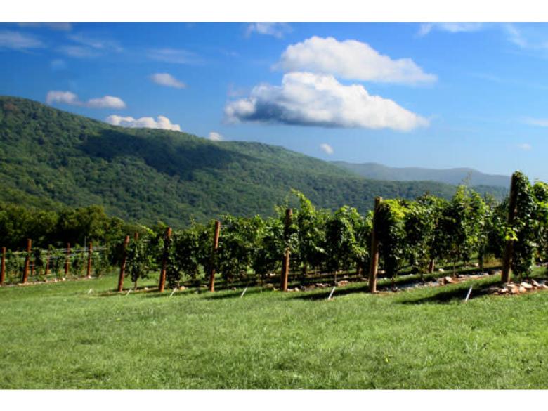 Pickens County Visitor Center | Official Georgia Tourism & Travel ...