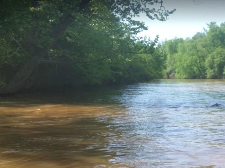 Redlands Wildlife Management Area | Official Georgia Tourism & Travel ...