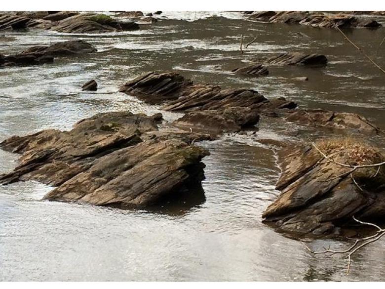 McGraw Ford Wildlife Management Area | Official Georgia Tourism ...