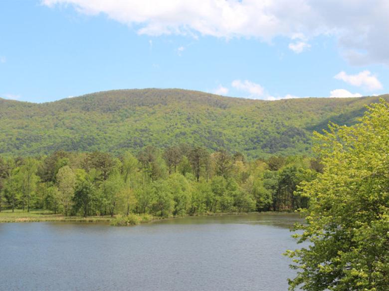 Pine Log Wildlife Management Area | Explore Georgia