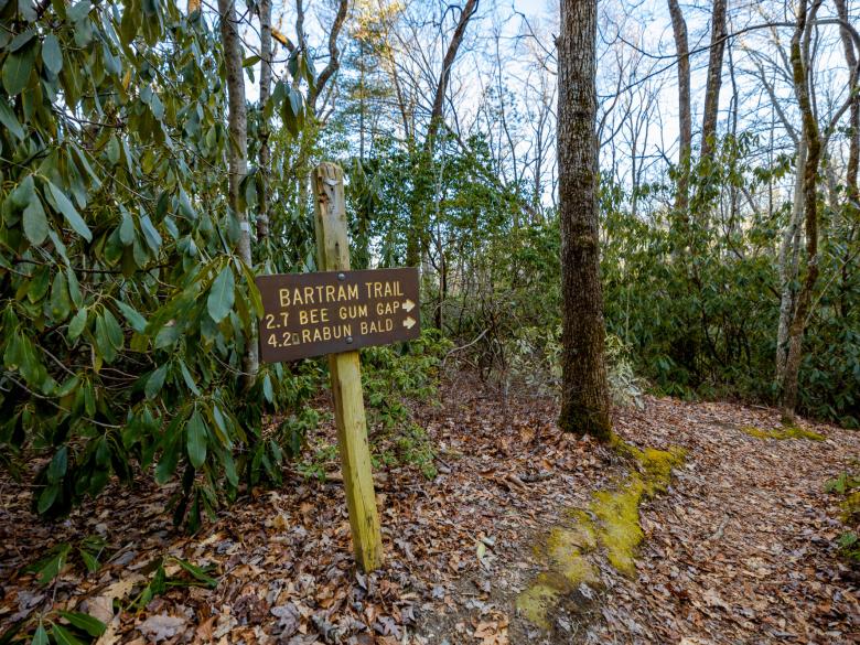 Blue Ridge Bartram Trail Conservancy | Explore Georgia