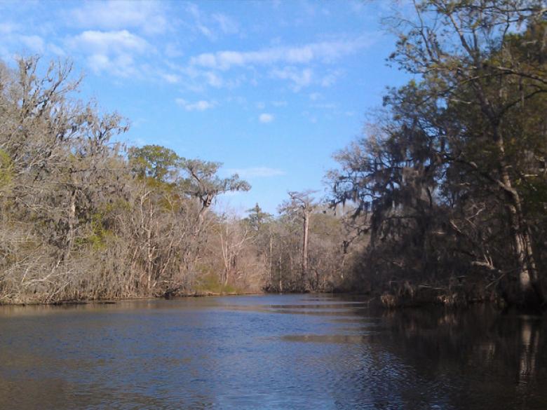 Morgan Lake Wildlife Management Area | Official Georgia Tourism ...