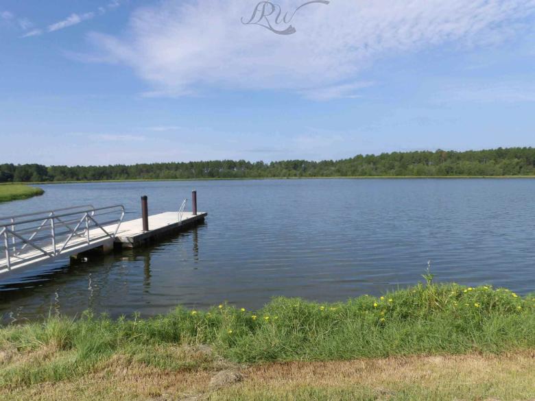 Paradise Public Fishing Area | Explore Georgia