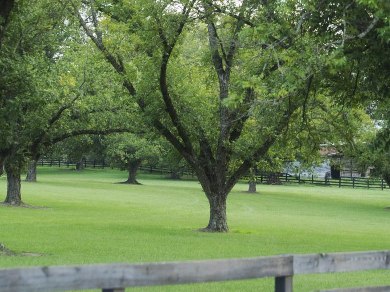 Pearson Farm | Explore Georgia