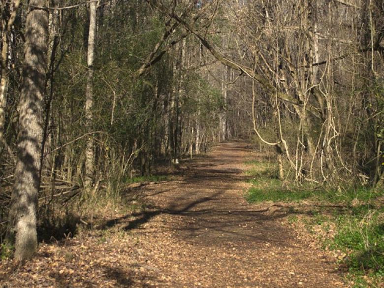 Cochran Mill Park | Explore Georgia