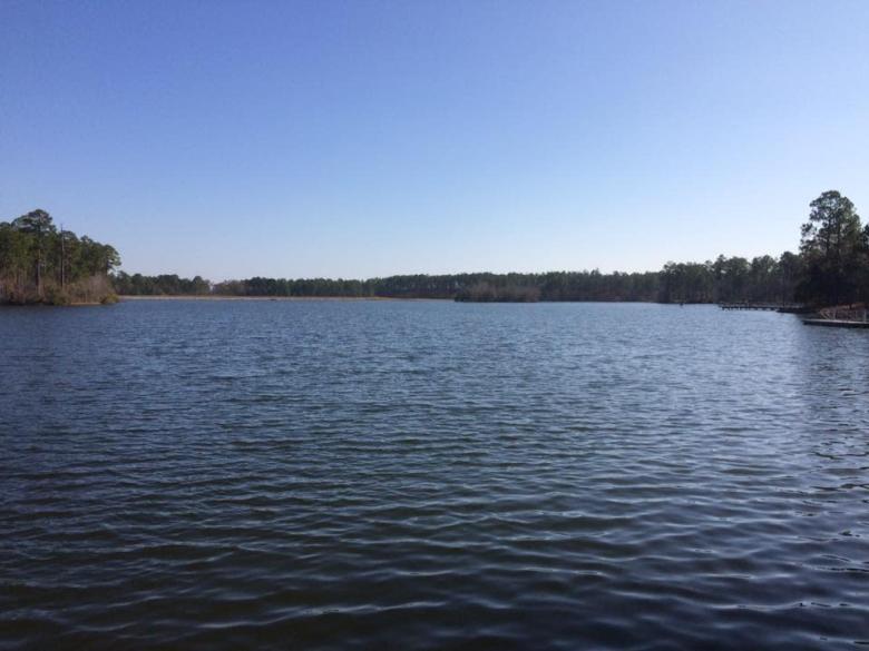 Dodge County Public Fishing Area | Official Georgia Tourism & Travel ...