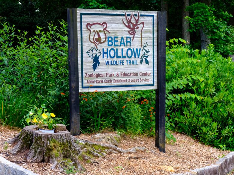 Bear Hollow Zoo | Explore Georgia
