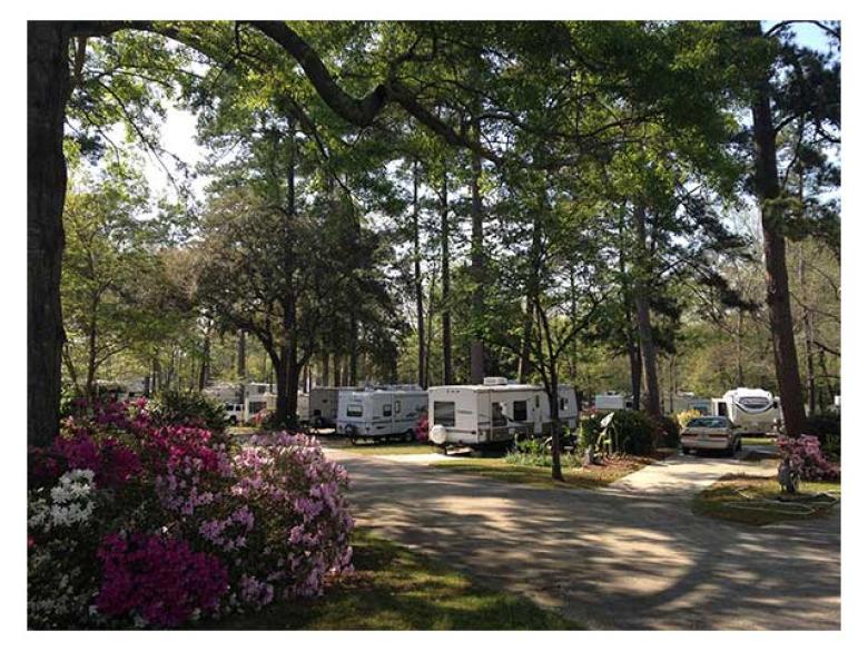 River Park RV Park | Explore Georgia