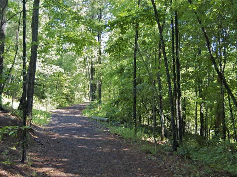 Settles Bridge Park | Explore Georgia