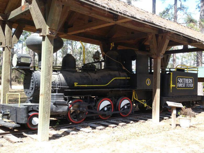 Southern Forest World | Official Georgia Tourism & Travel Website ...