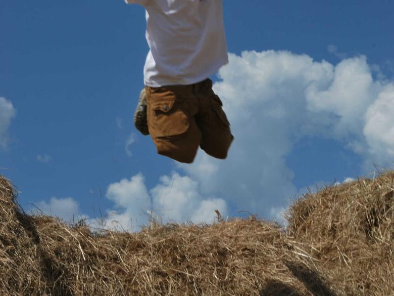 Steed's Dairy | Explore Georgia