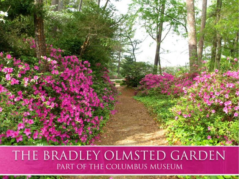 The Columbus Museum | Explore Georgia